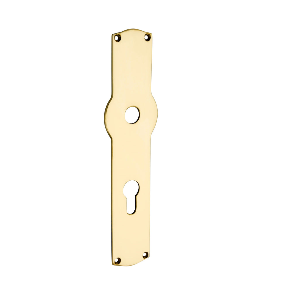 Door Backplate with PZ Hole – Interiamo